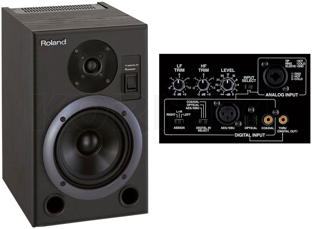 Roland DS 5 | music store