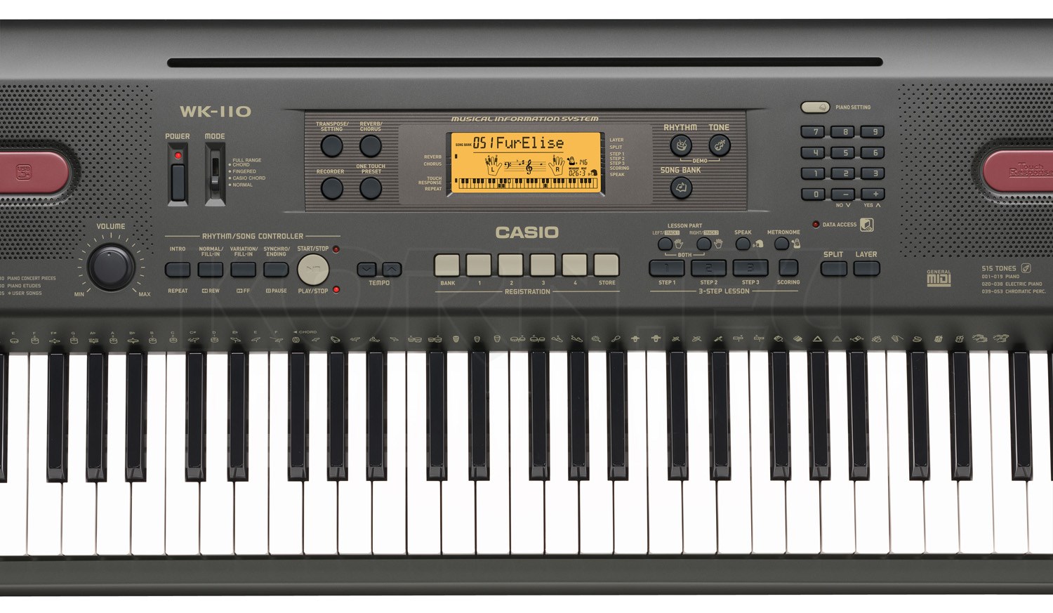 Casio WK-110 | music store