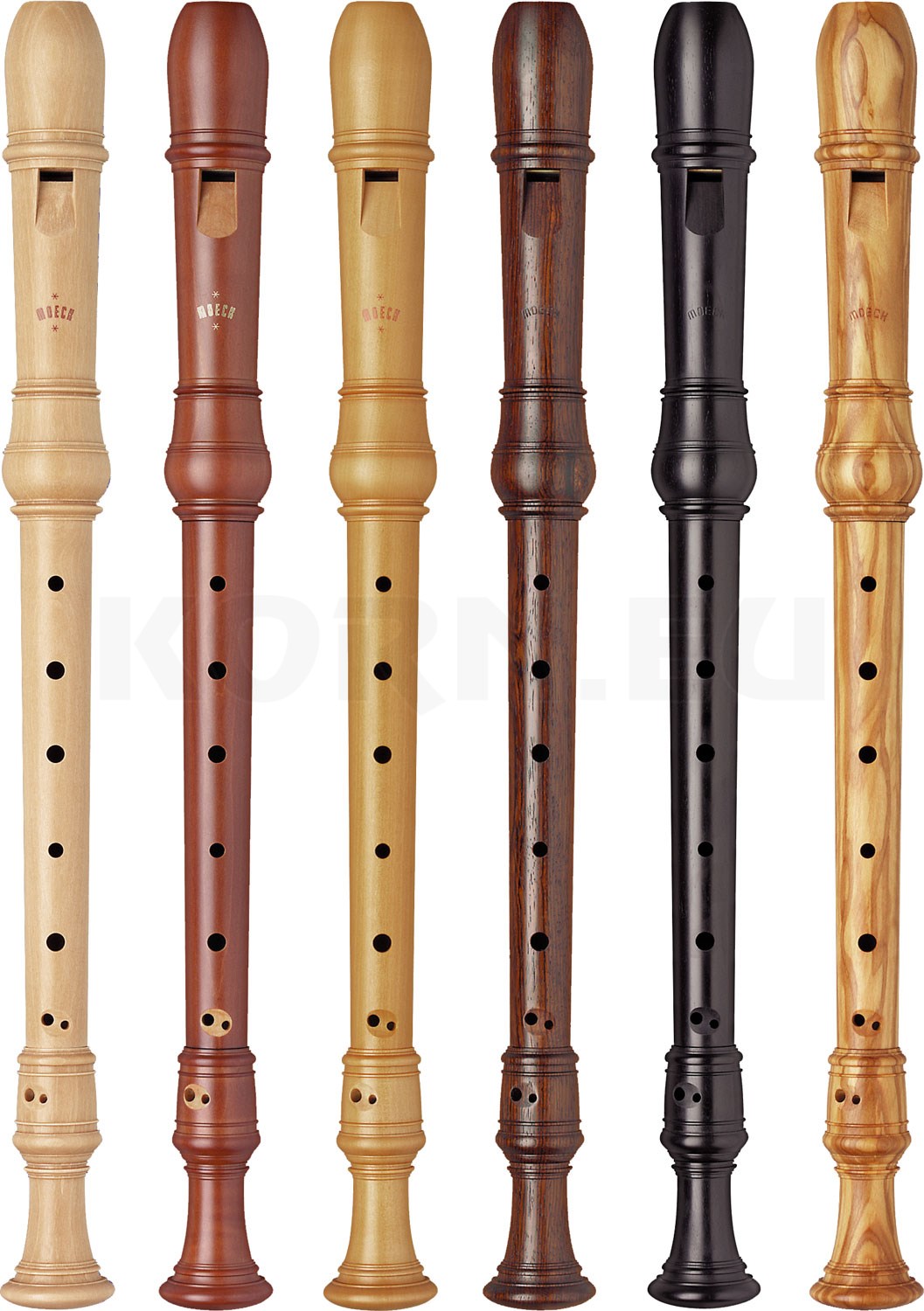 Moeck Rottenburgh Alt 4300 Ahorn | Musikhaus