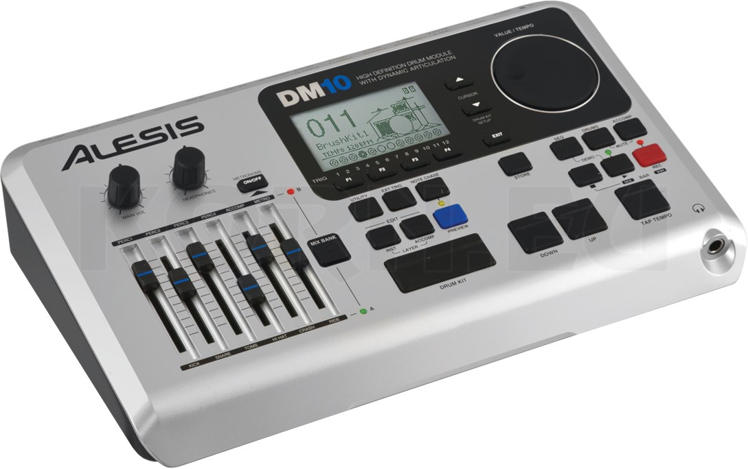 Alesis DM10 Drum Modul | Musikhaus