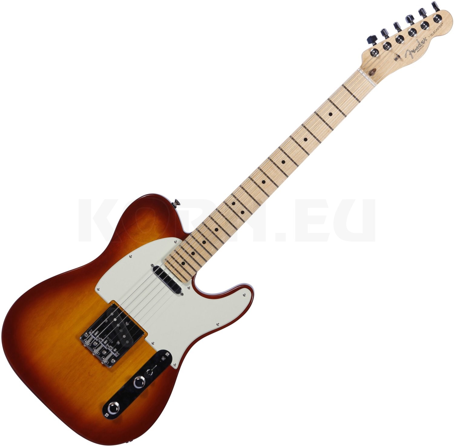Fender Telebration Empress Telecaster HB | music store