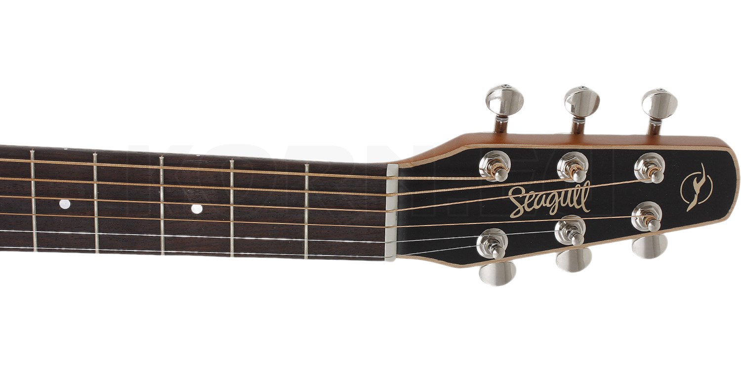 Seagull Coastline S6 Folk Cedar Q-I Westerngitarre | Musikhaus