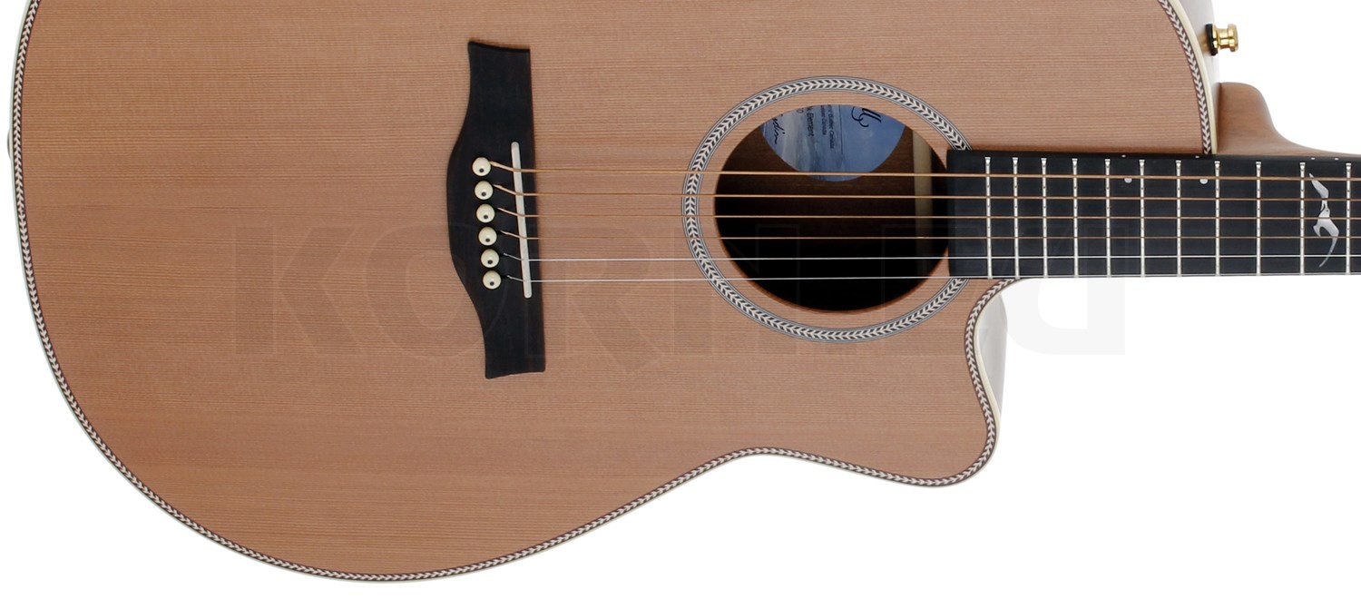 Seagull Artist Mosaic CW Folk Element... | Musikhaus