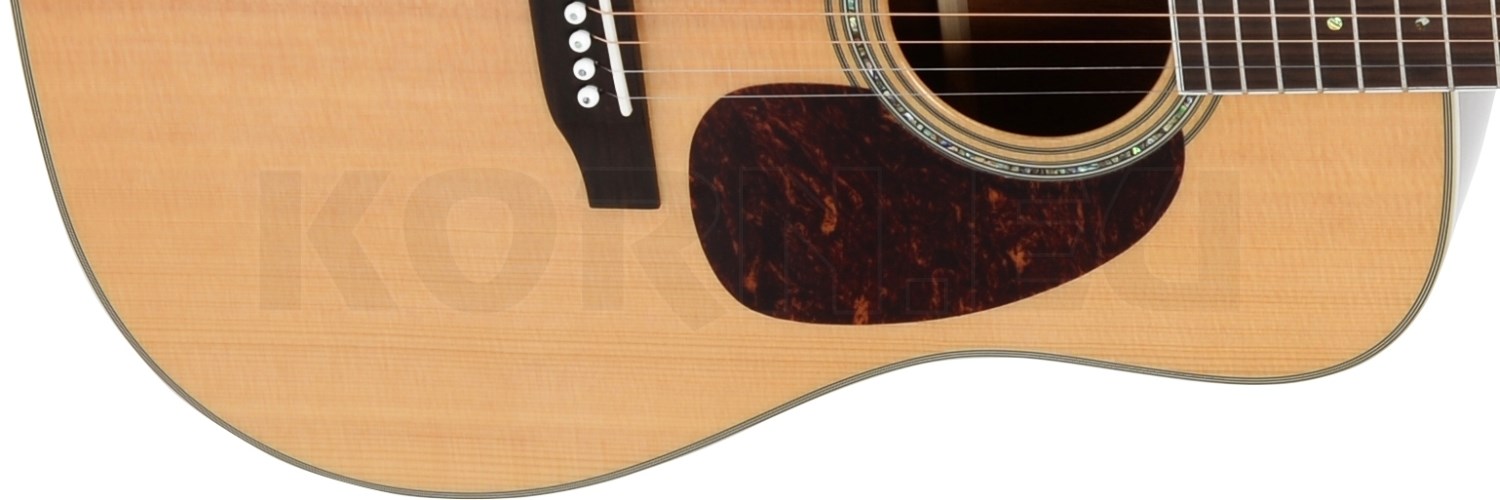 Sigma DM-4 Westerngitarre | Musikhaus