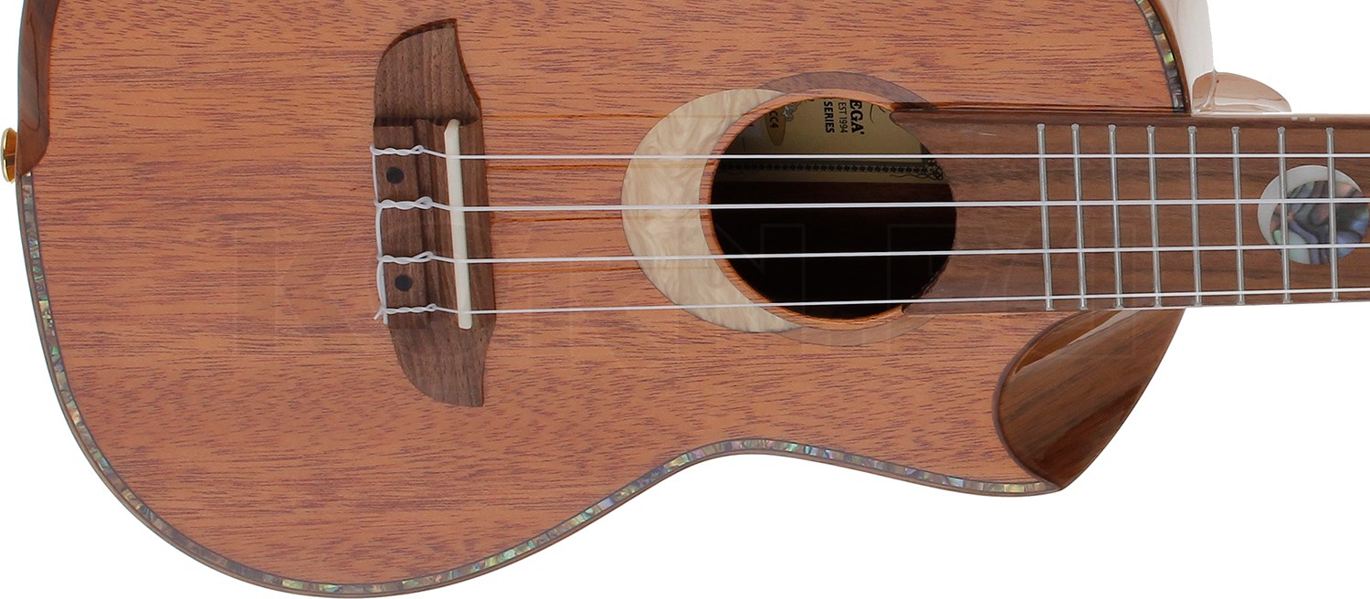 Ortega ECLIPSE-CC4 Konzert-Ukulele | Musikhaus