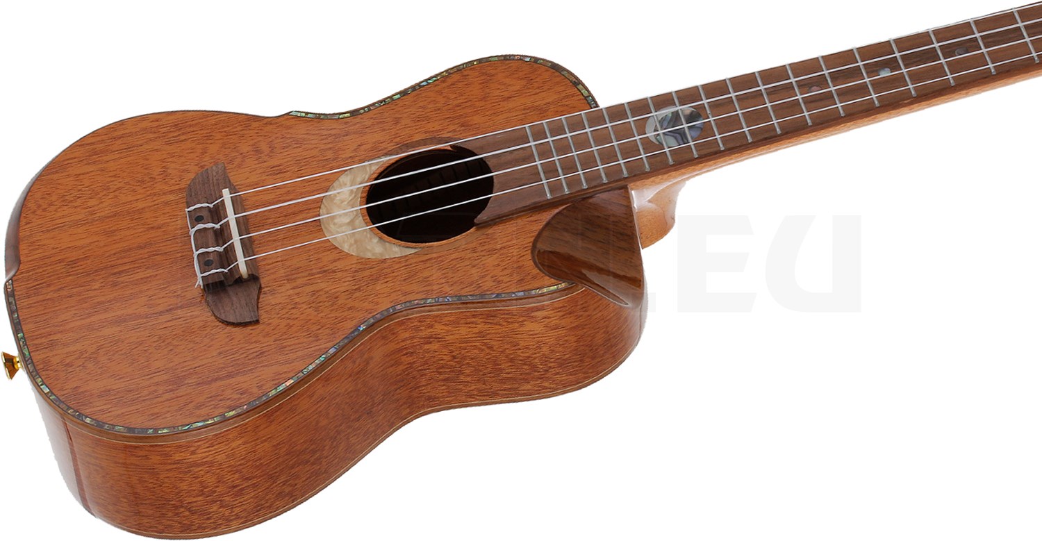 Ortega ECLIPSE-CC4 Konzert-Ukulele | Musikhaus