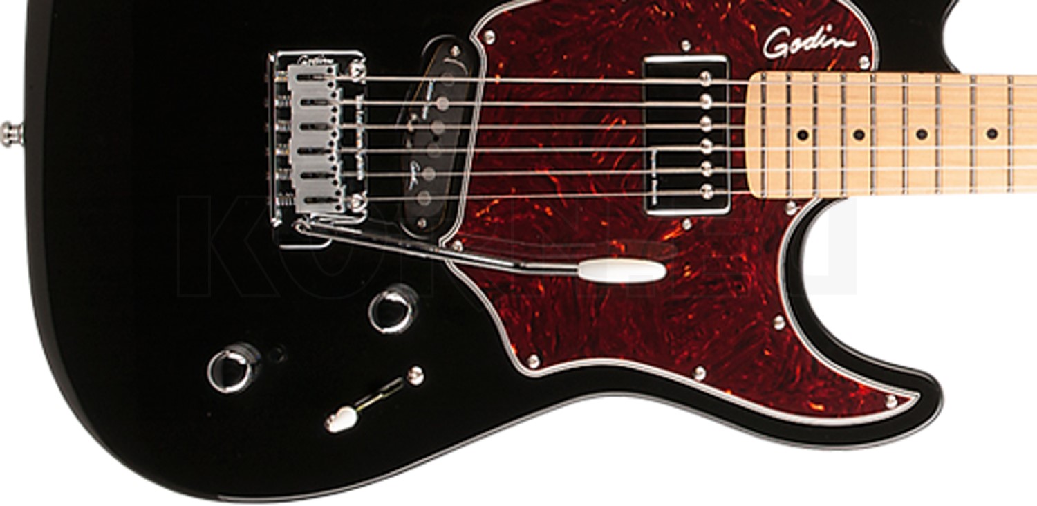 Special Deal: Godin Session Custom 59 Black HG... | music store