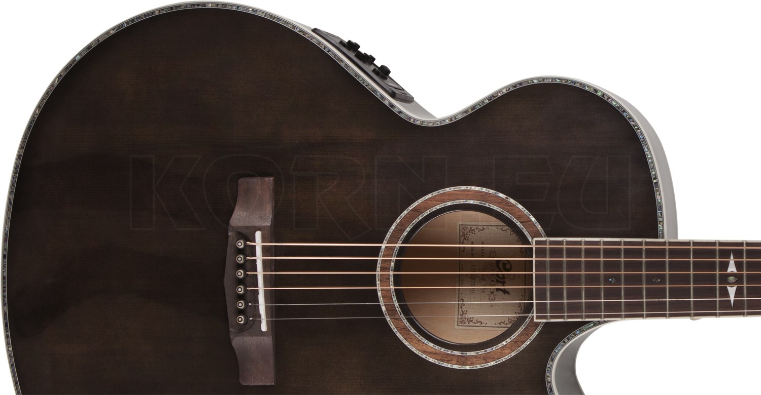 Cort SFX-10 TBK Ltd. Westerngitarre | music store