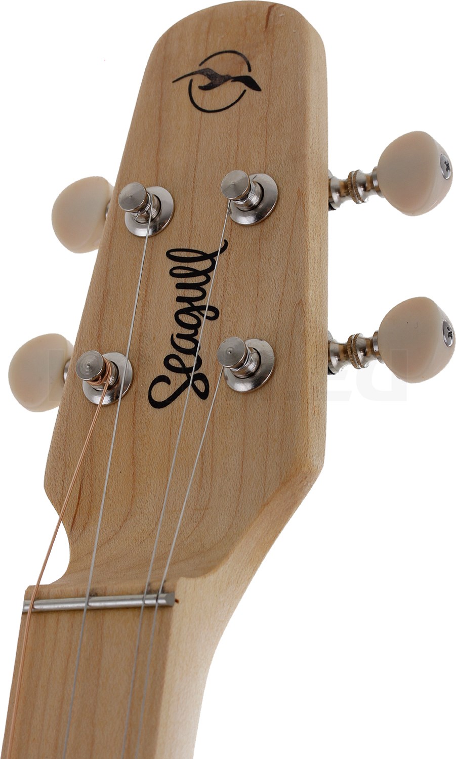 Seagull M4 Merlin Mahogany SG EQ | Musikhaus