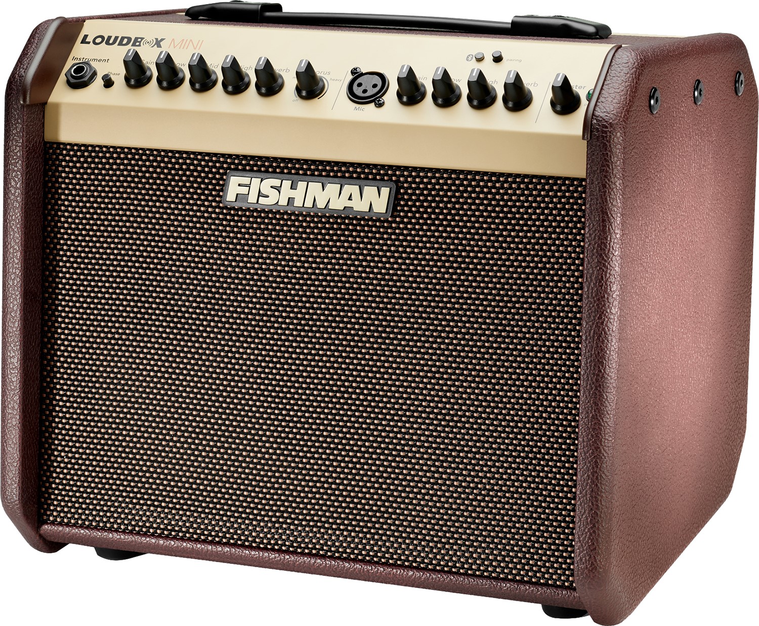 Fishman Loudbox Mini Bluetooth | Musikhaus