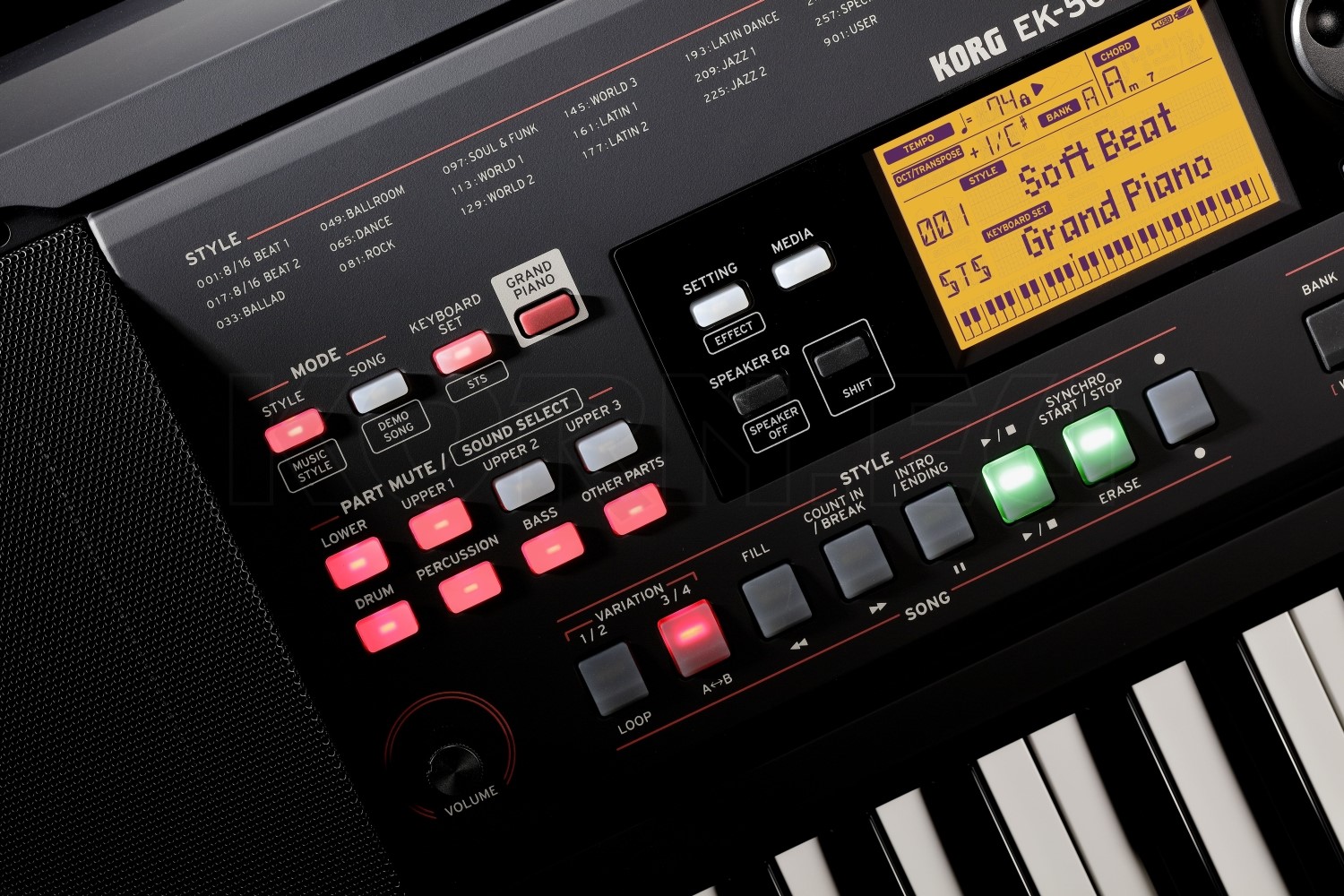 Korg EK-50 L in Home und Lernkeyboards | Musikhaus