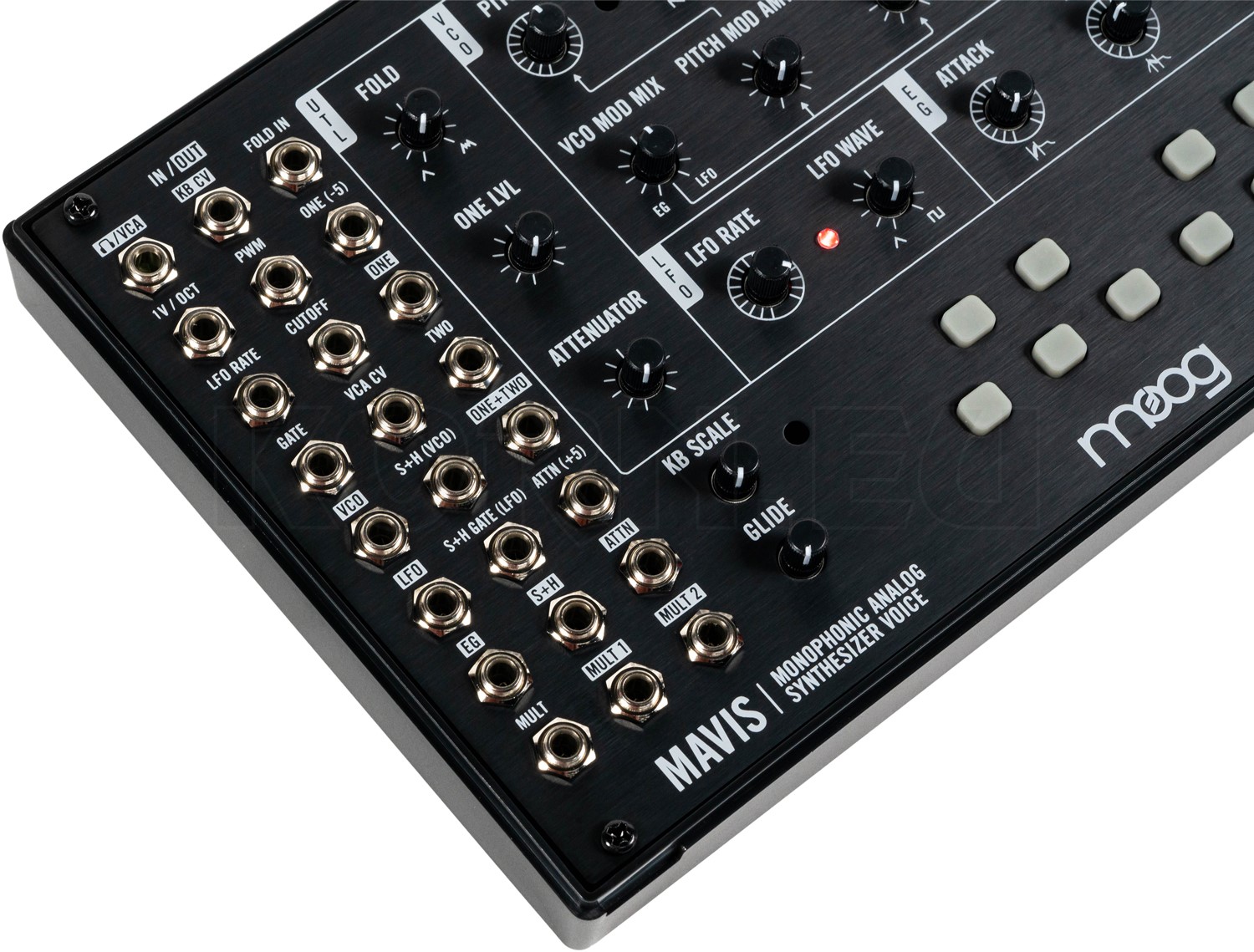 Moog Mavis in Rack Synthesizer und Desktop... | Musikhaus